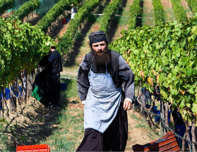 Wines of Mount Athos: the Secret behind Monastery Wine...since the 10th ...